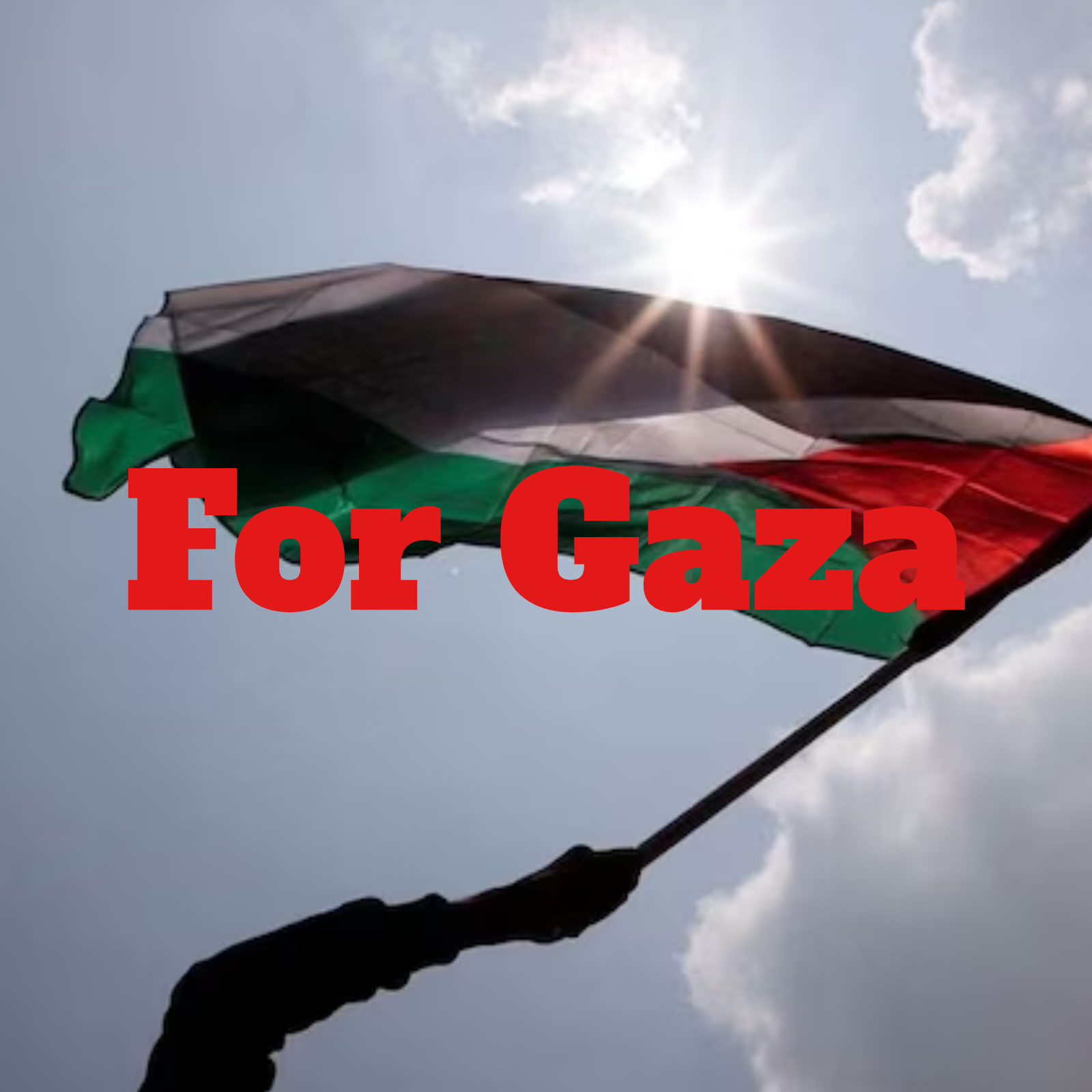 For Gaza – Bejeweled At Soul